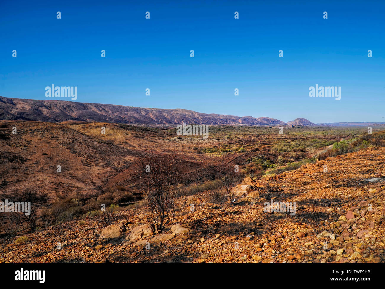 Macdonnell central australia hi-res stock photography and images - Alamy