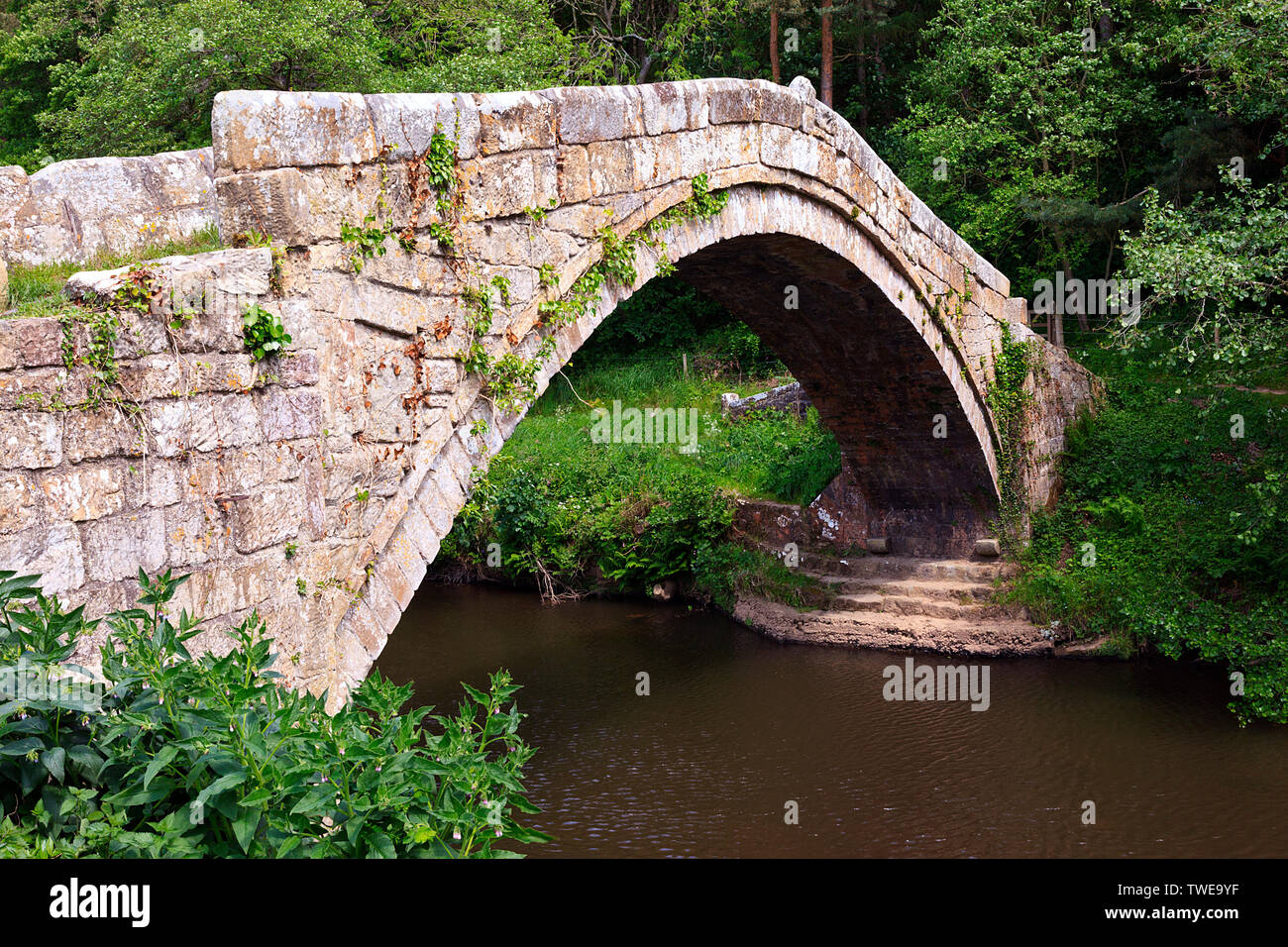 Glaisdale packhorse bridge hi-res stock photography and images - Alamy