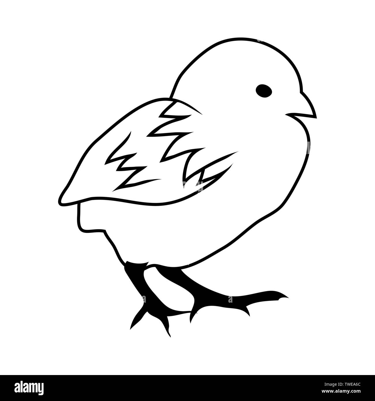 Sketch of Bird. Outline Design. Vector Illustration Stock Vector Image ...