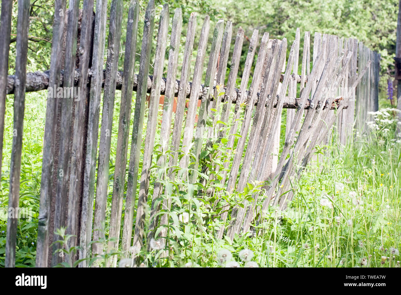 old shaky wooden picket fence closeup view on outdoor nature background ...