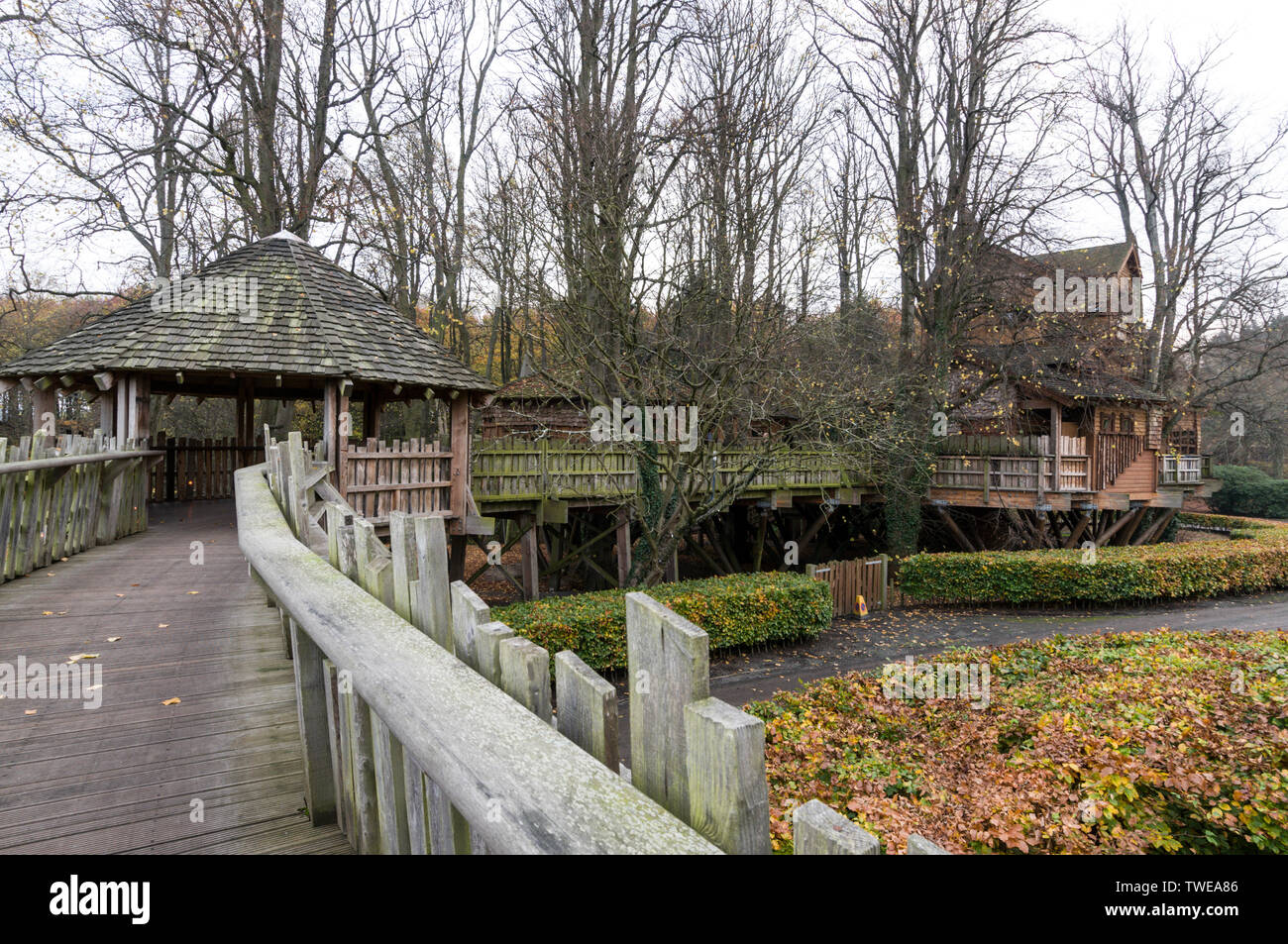 Treehouse uk hi-res stock photography and images - Alamy