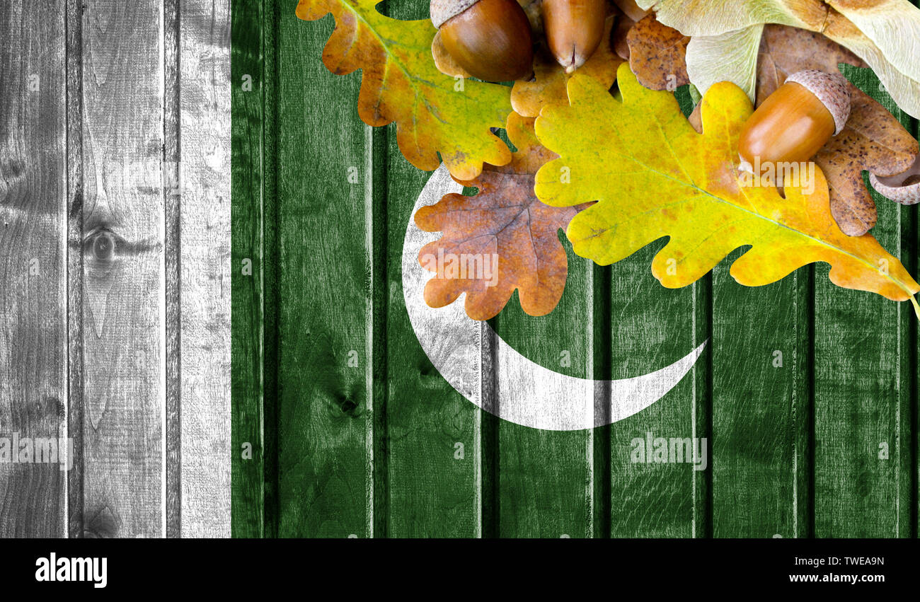 Pakistan flag artwork hi-res stock photography and images - Alamy
