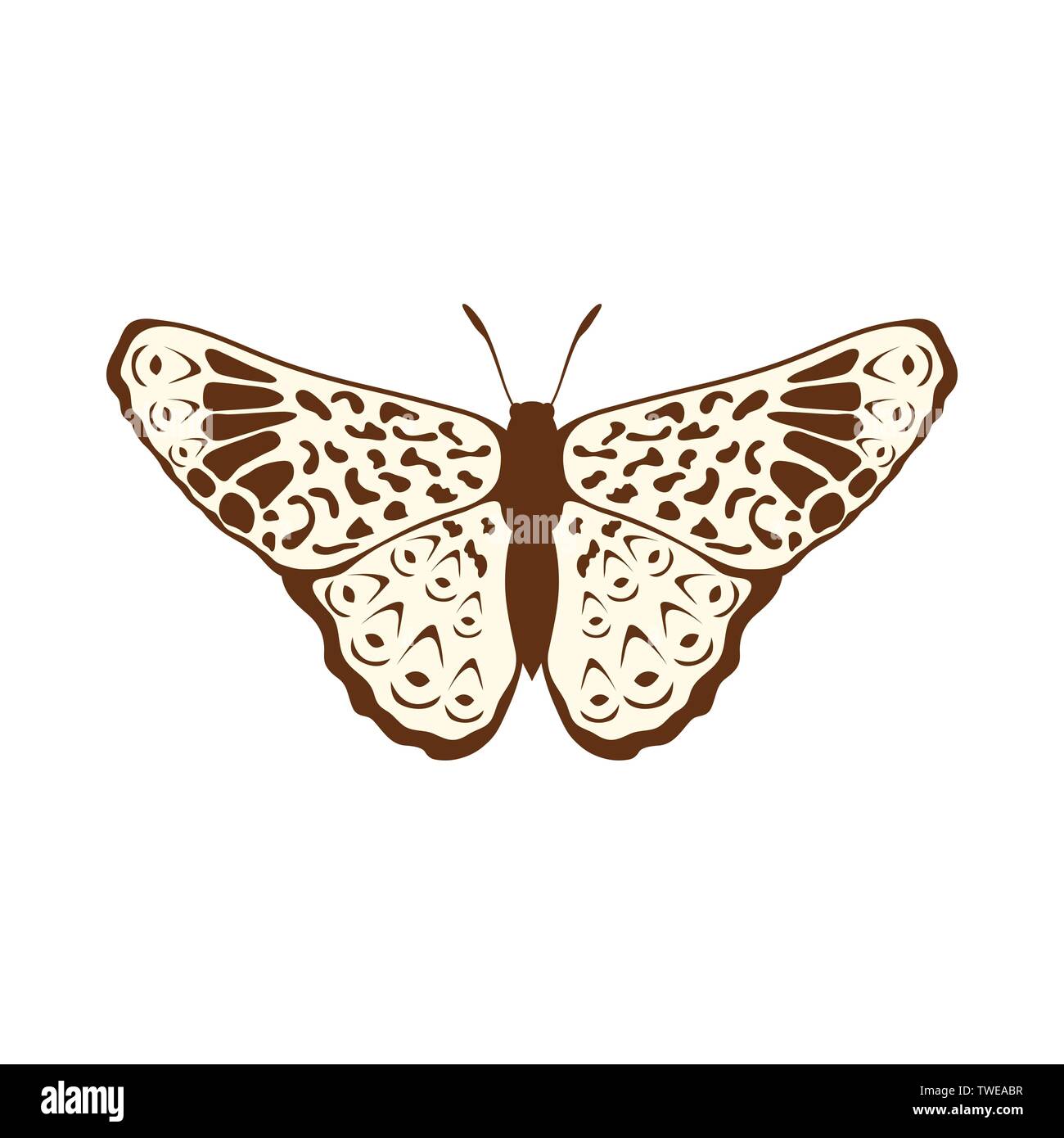 Sketch of Butterfly. Brown Line Color Design. Vector Illustration Stock ...