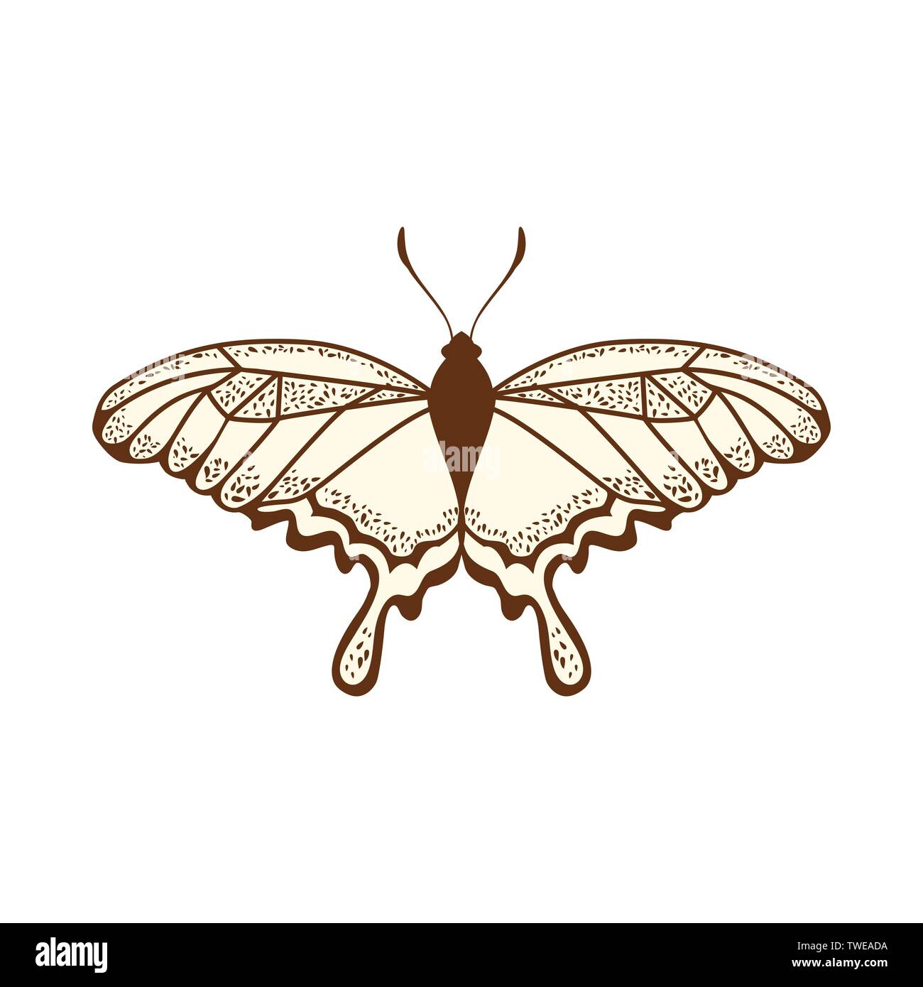Sketch of Butterfly. Brown Line Color Design. Vector Illustration Stock ...