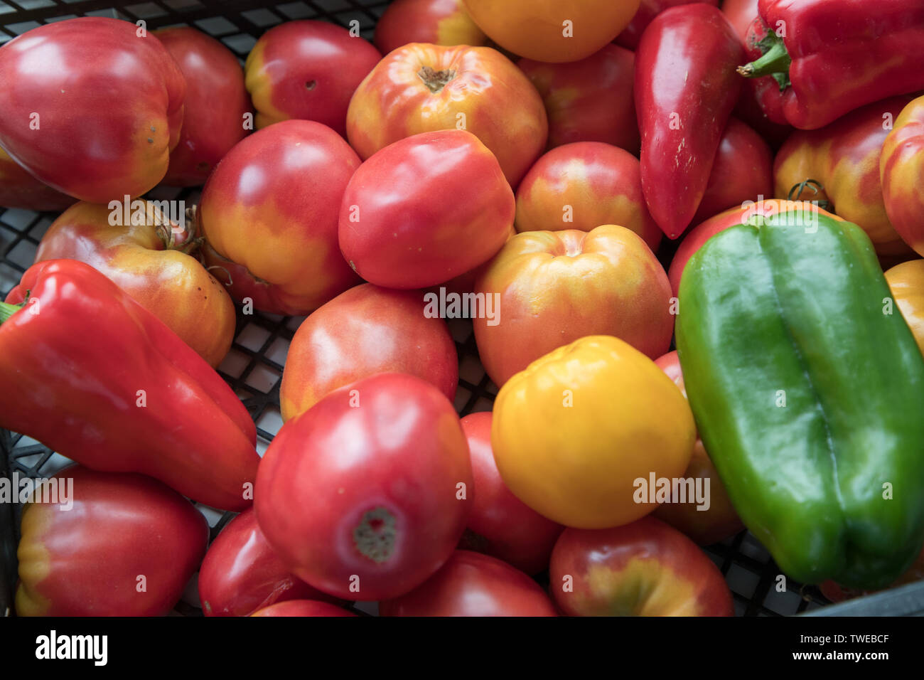 Immature bell peppers hi-res stock photography and images - Alamy