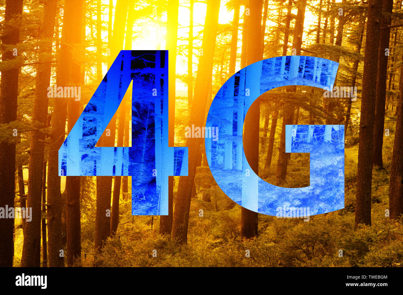 4g text on forest background Stock Photo - Alamy