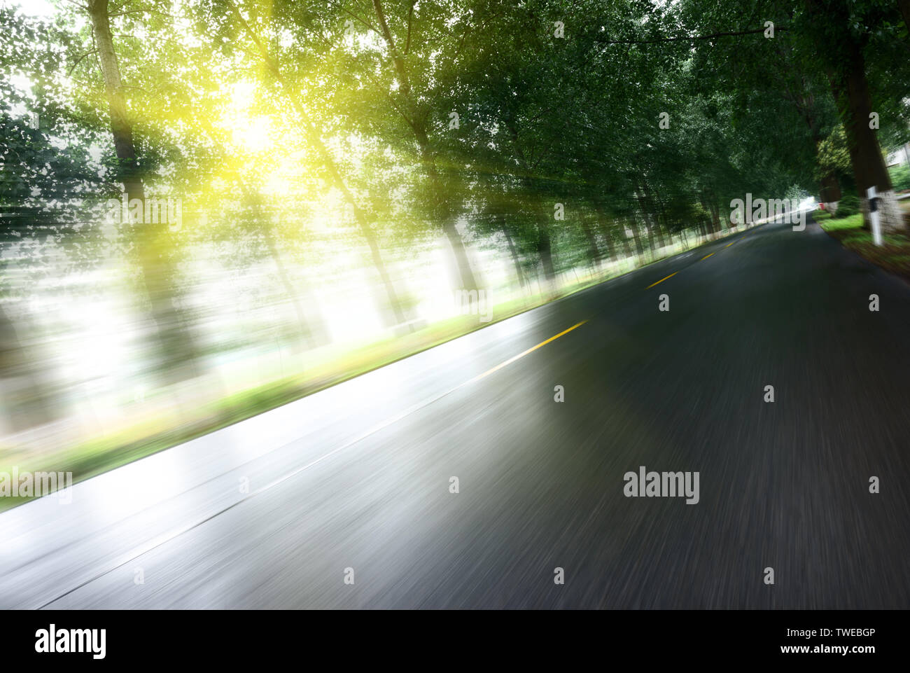 asphalt road with tree lawns under sunshine Stock Photo - Alamy