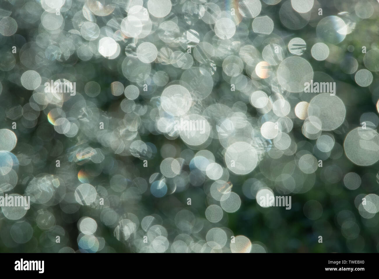 bright bokeh with bright color during daytime Stock Photo - Alamy