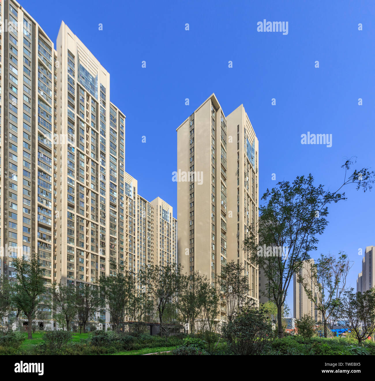 Slap on back hi-res stock photography and images - Alamy