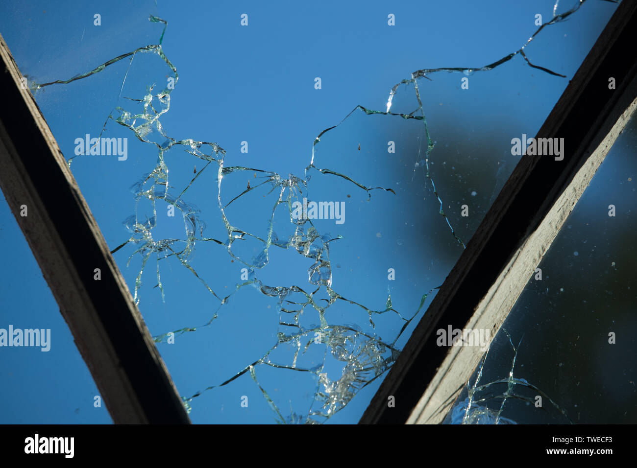 cracked and broken window glass punched by a pistol bullet Stock Photo ...