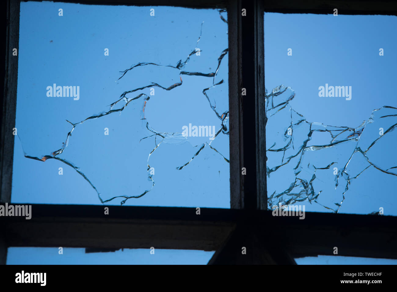 cracked and broken window glass punched by a pistol bullet Stock Photo ...