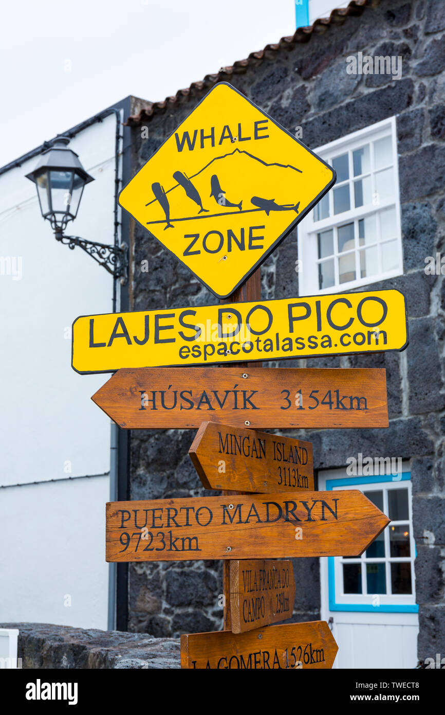 Lajes do pico whales hi-res stock photography and images - Alamy