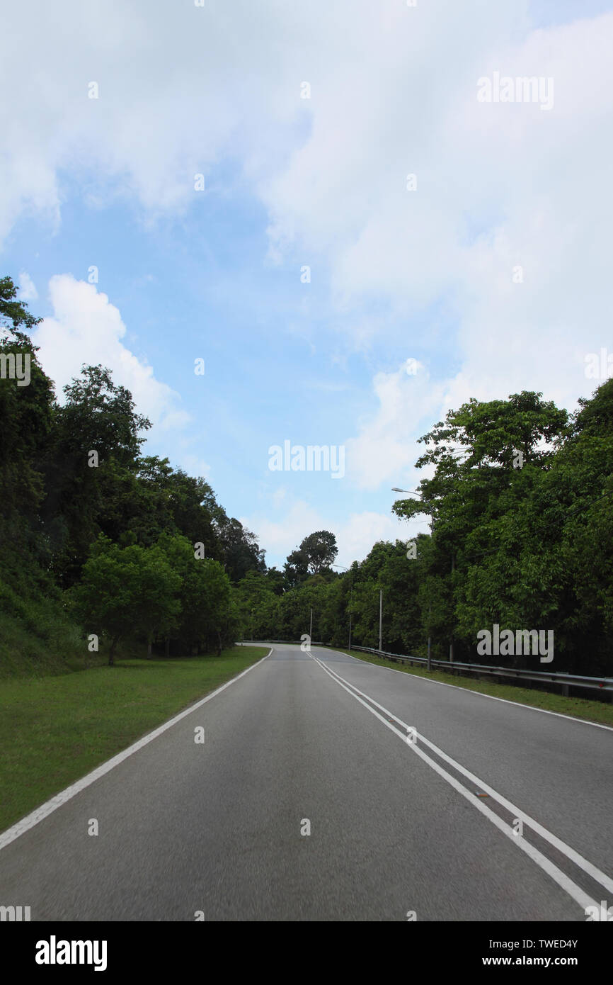 Trees along a road, Malaysia Stock Photo - Alamy