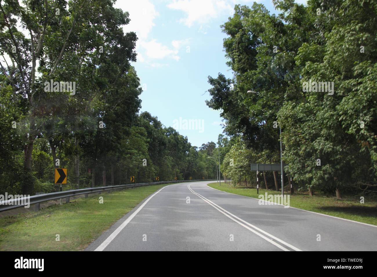 Trees along a road, Malaysia Stock Photo - Alamy