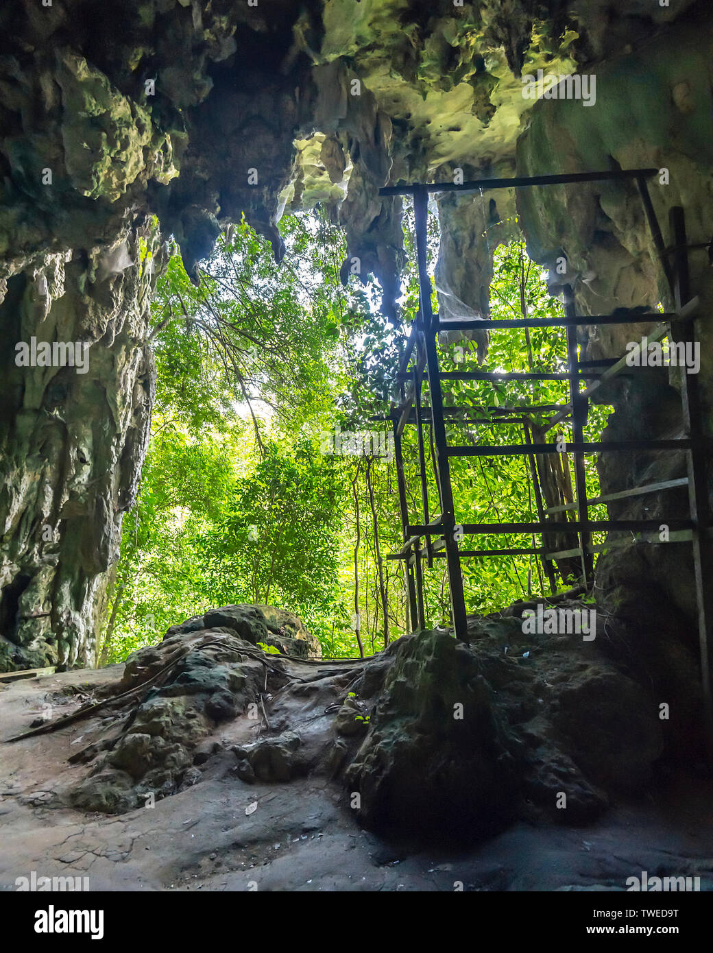 Niah Cave National Park located at Miri Division of Sarawak Malaysia ...
