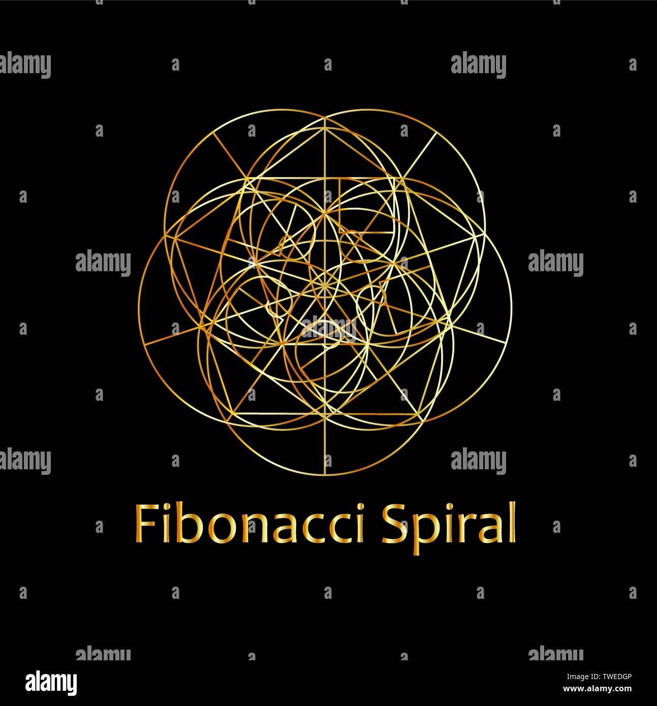 Fibonacci Spiral- The sacred geometry Stock Vector Image & Art - Alamy Fibonacci Spiral- The sacred geometry Stock Vector Image & Art - Alamy