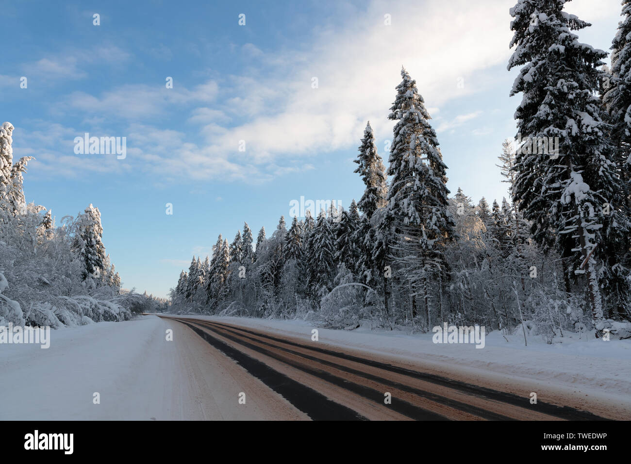 cold and winter landscapes with snow in Russia Stock Photo - Alamy