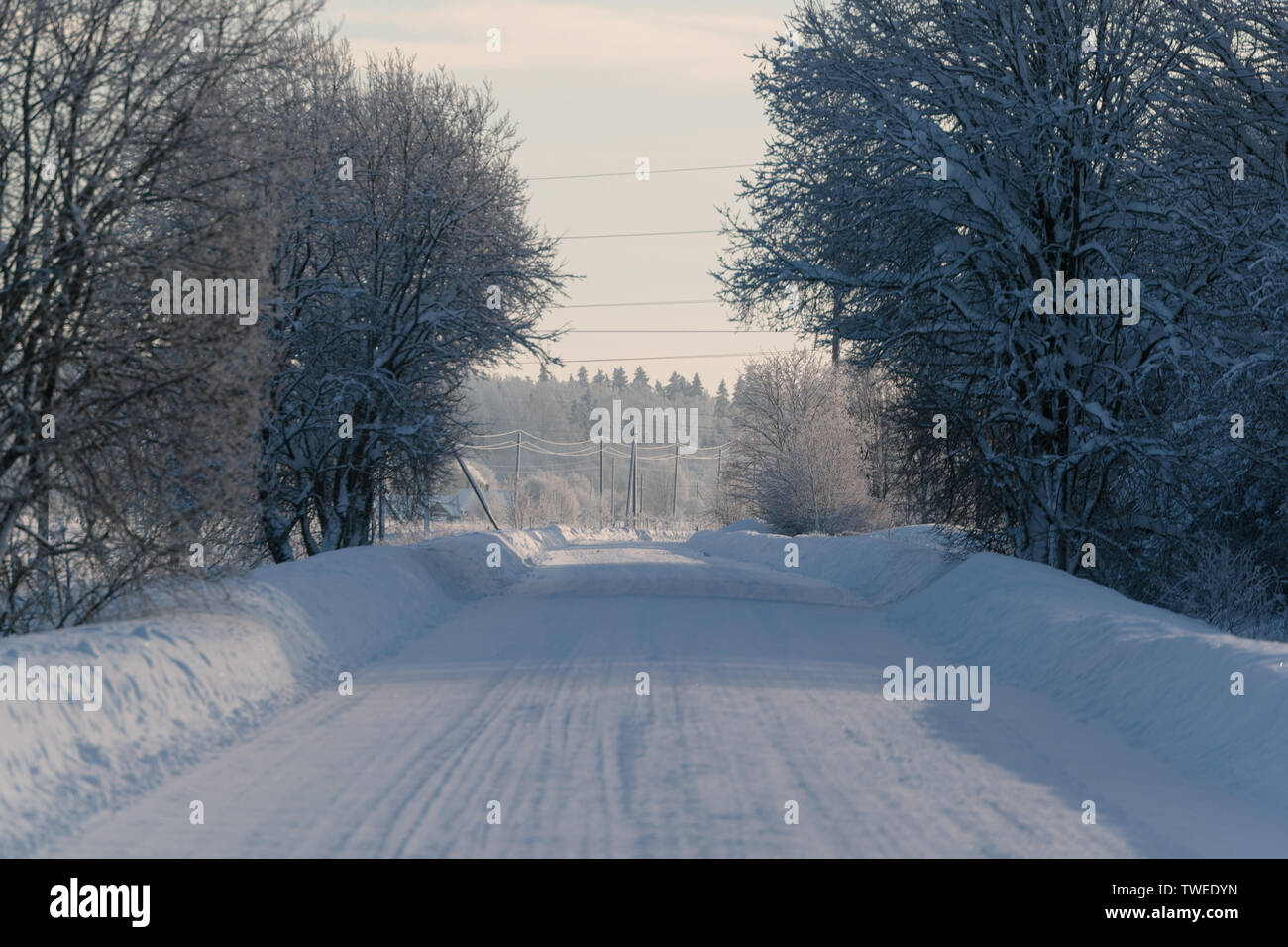 cold and winter landscapes with snow in Russia Stock Photo - Alamy