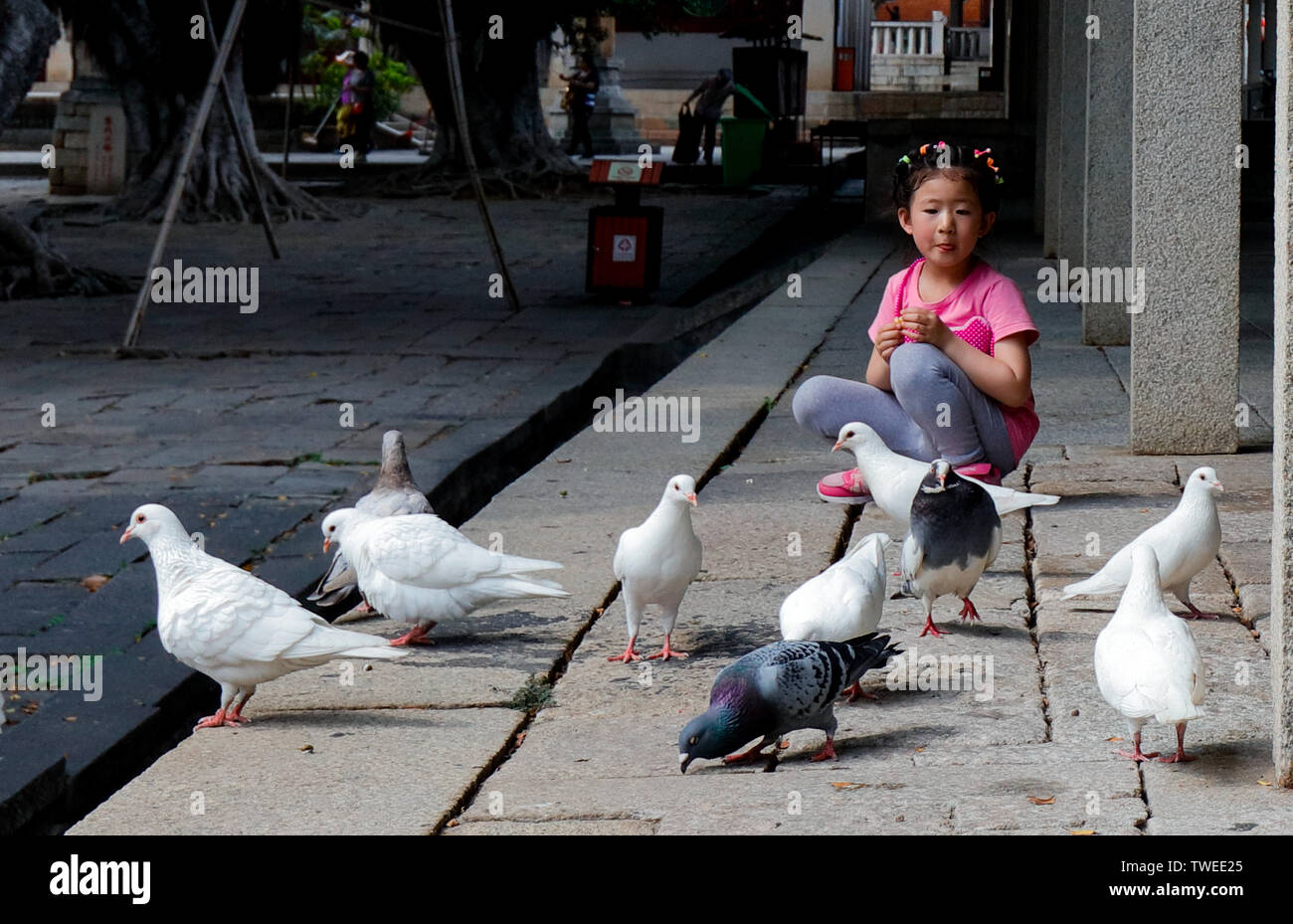 Birds with human hi-res stock photography and images - Alamy