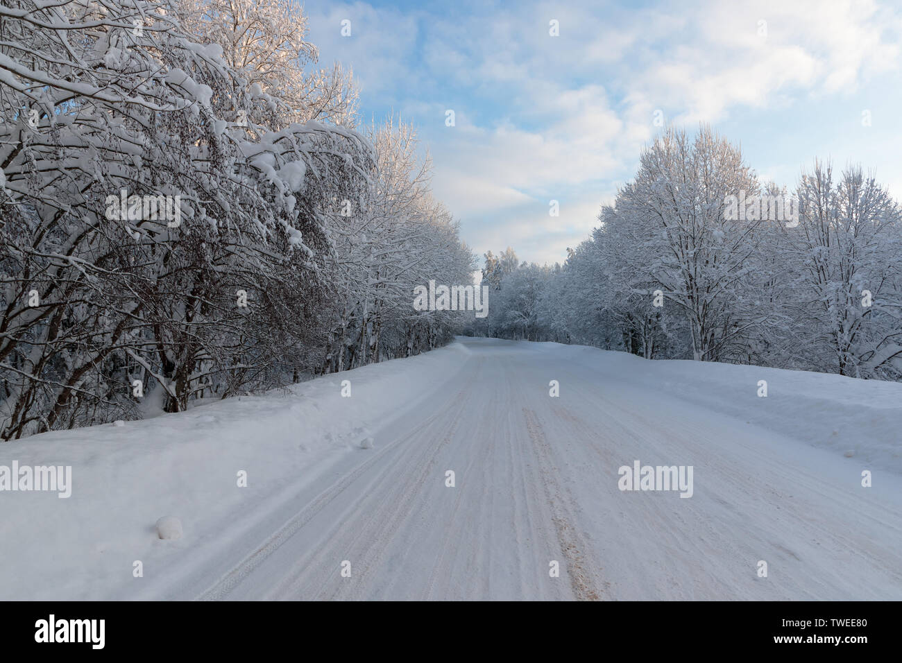 cold and winter landscapes with snow in Russia Stock Photo - Alamy