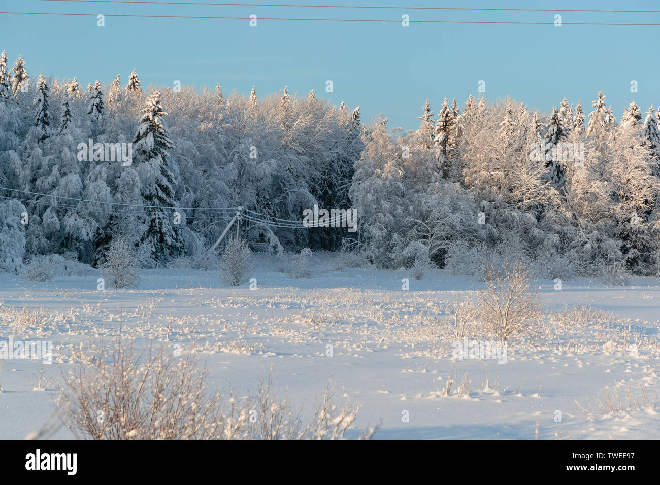 cold and winter landscapes with snow in Russia Stock Photo - Alamy
