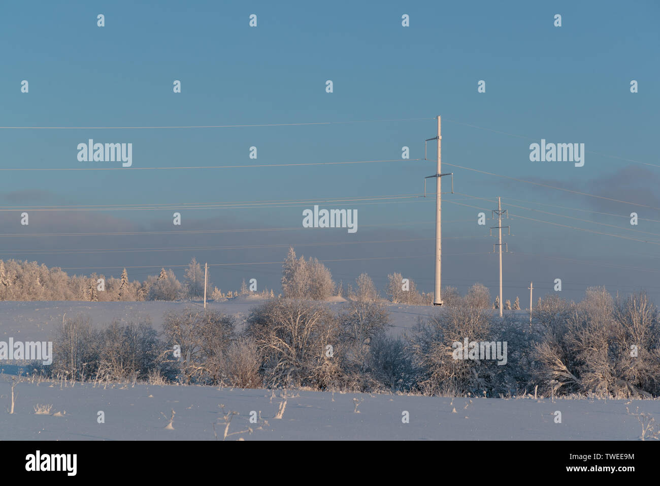 cold and winter landscapes with snow in Russia Stock Photo - Alamy