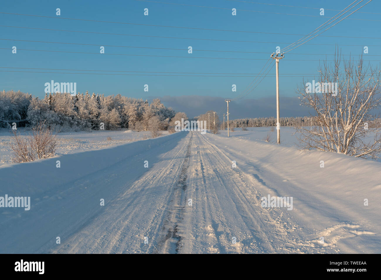 cold and winter landscapes with snow in Russia Stock Photo - Alamy