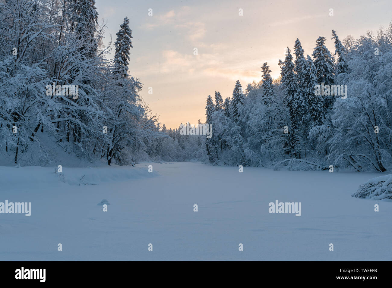cold and winter landscapes with snow in Russia Stock Photo - Alamy