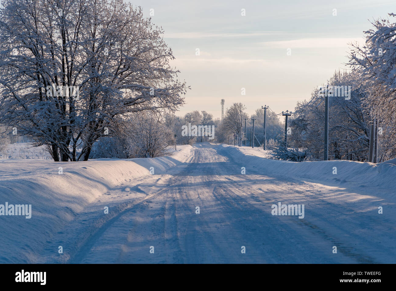 cold and winter landscapes with snow in Russia Stock Photo - Alamy