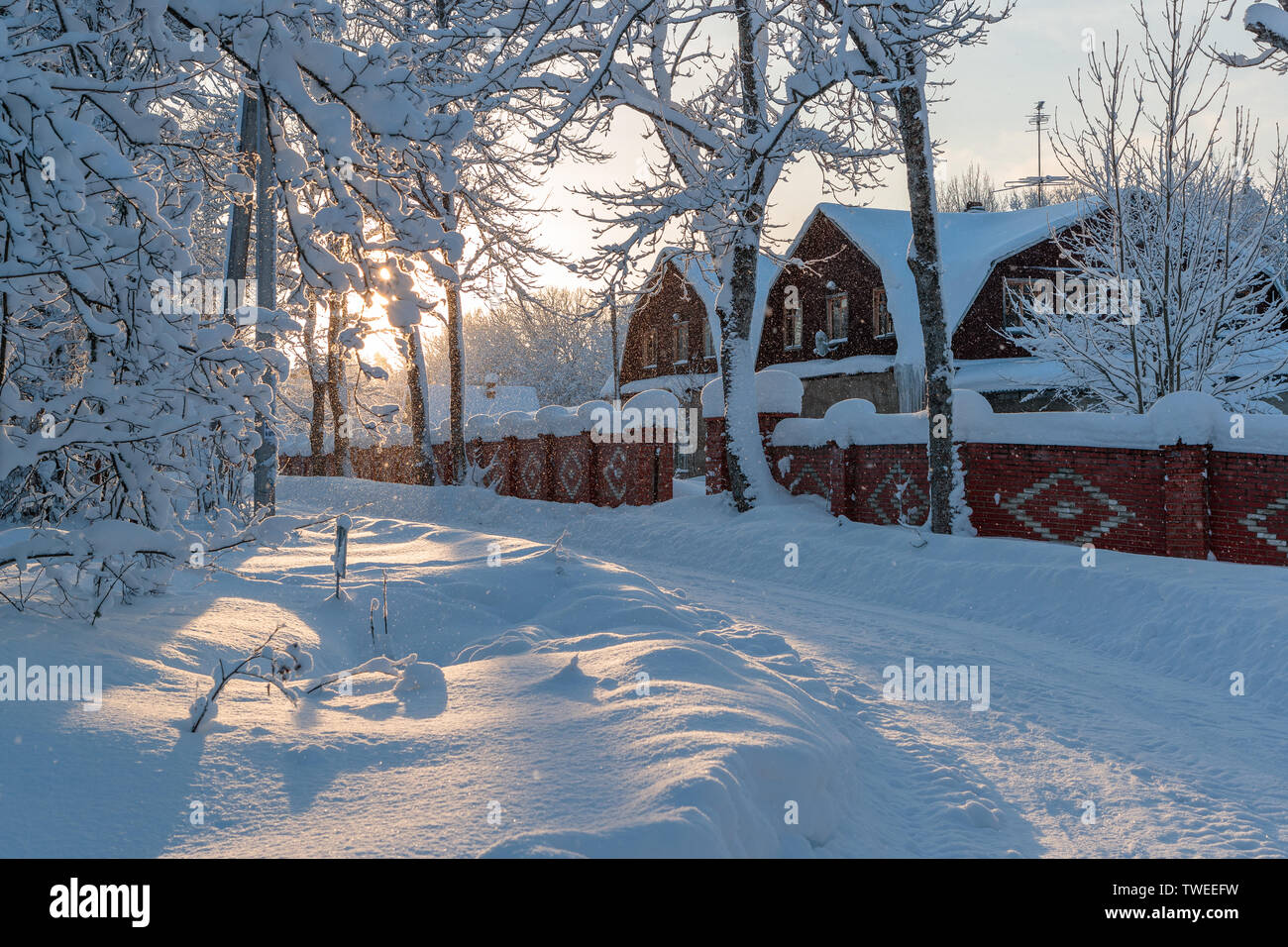 cold and winter landscapes with snow in Russia Stock Photo - Alamy