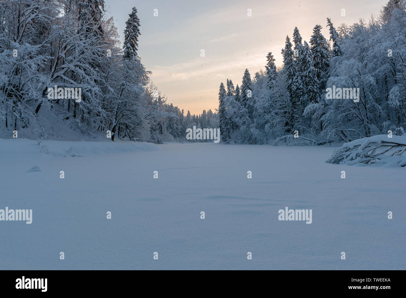 cold and winter landscapes with snow in Russia Stock Photo - Alamy