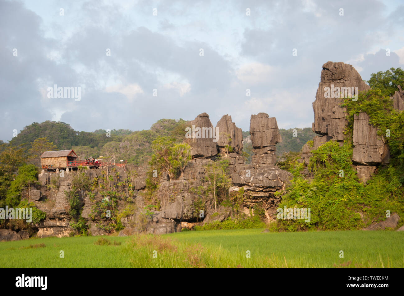 Maros, Indonesia - June 2018 : Karst landscape with limestone domes and ...