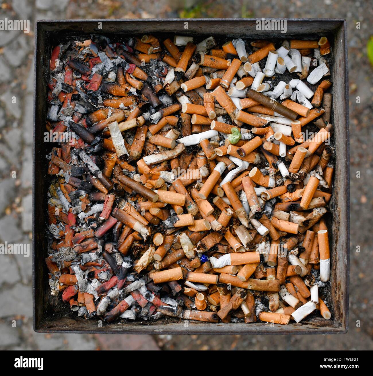 Full ashtray with cigarette butts, Berlin, Germany Stock Photo - Alamy