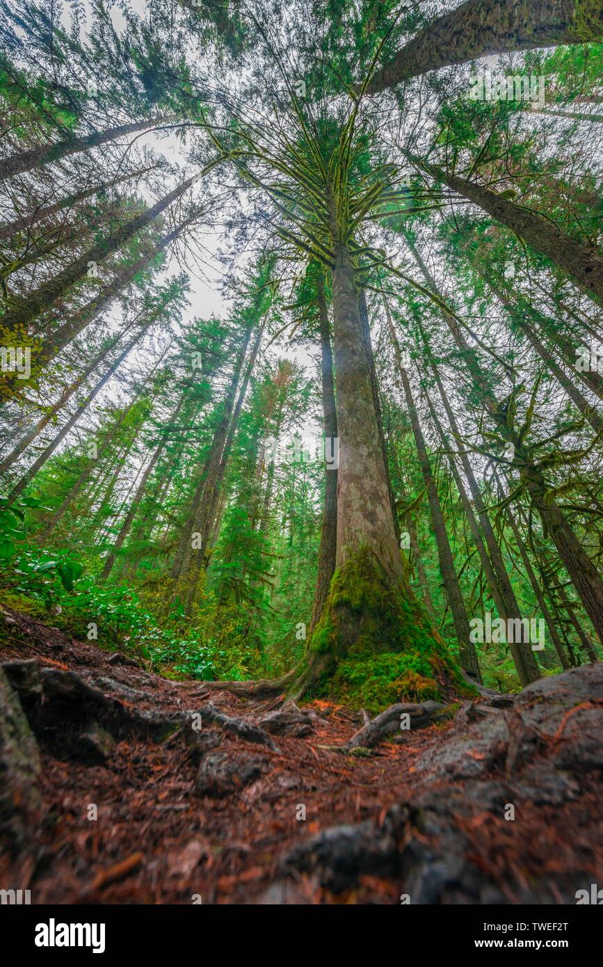 Frogs eye view hi-res stock photography and images - Alamy