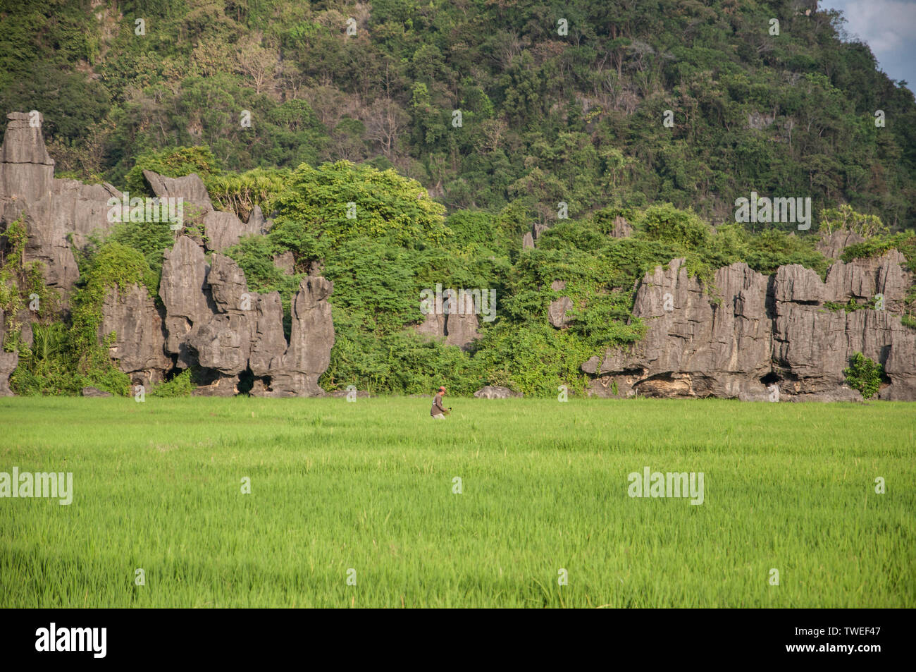 Karst landforms hi-res stock photography and images - Alamy