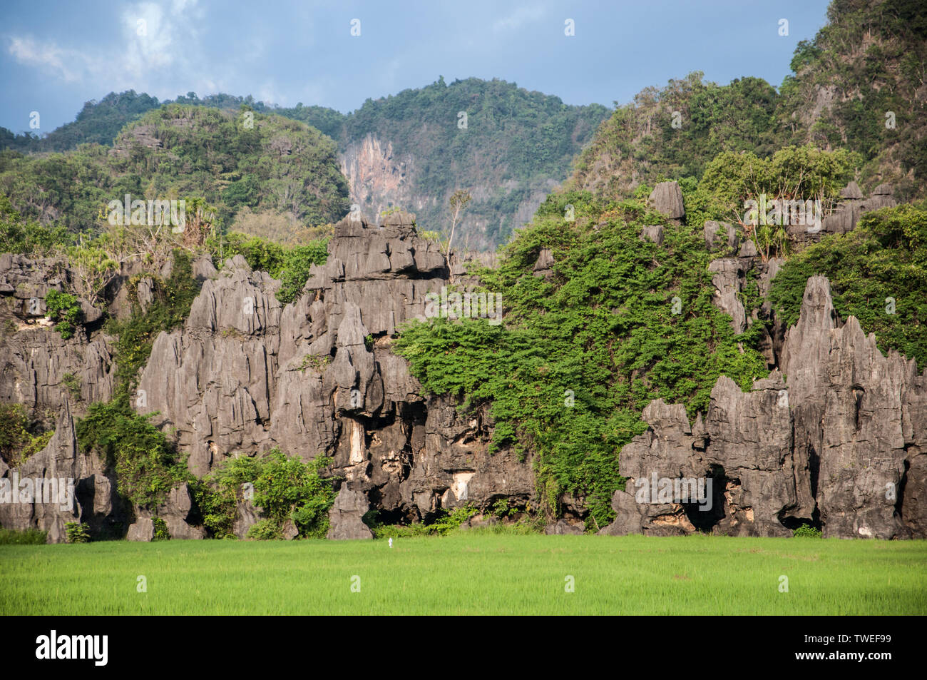Maros, Indonesia - June 2018 : Karst landscape with limestone domes and ...