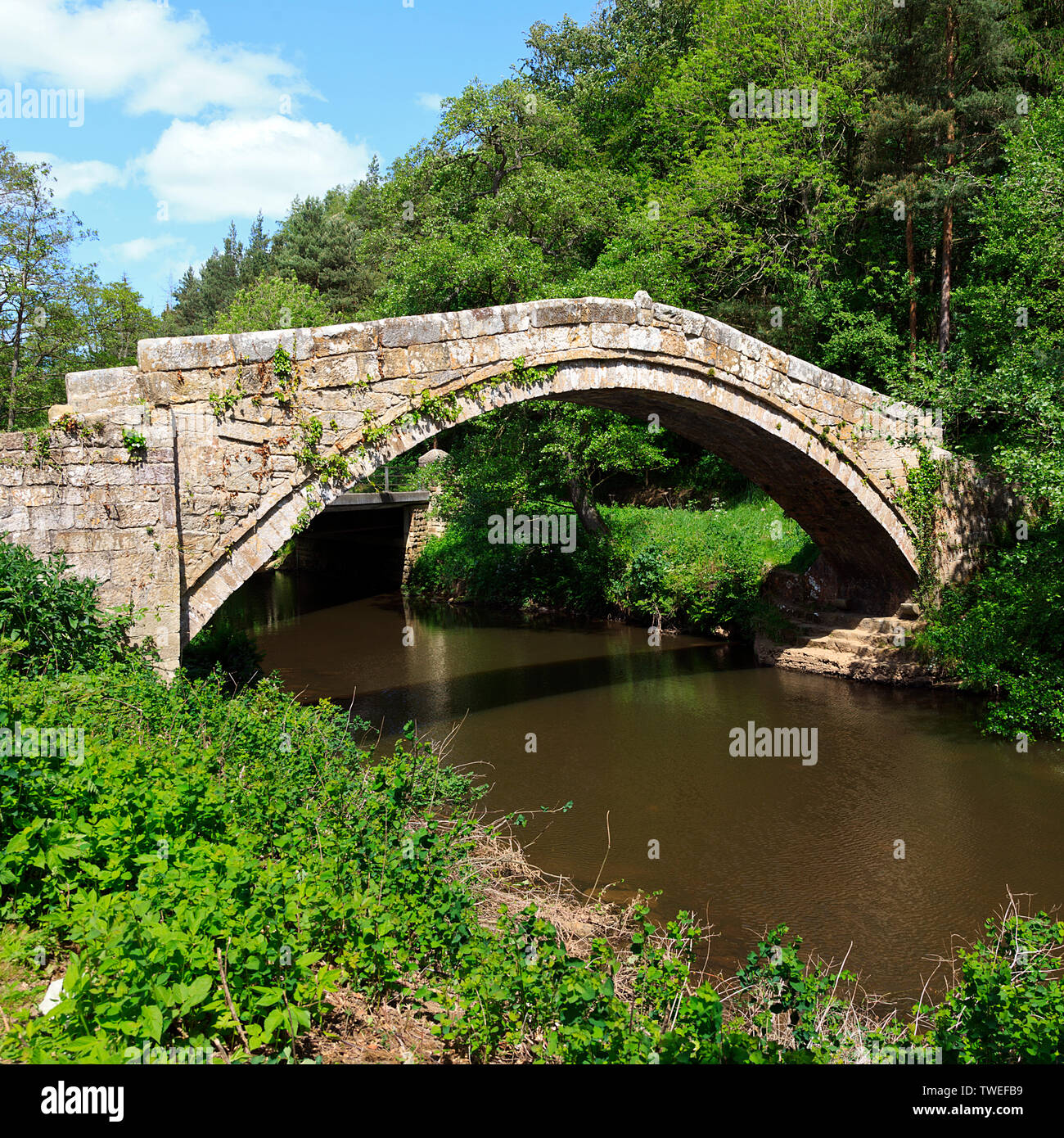 Packhorse Beggars Bridge (1619) over the River Esk at Glaisdale on the ...