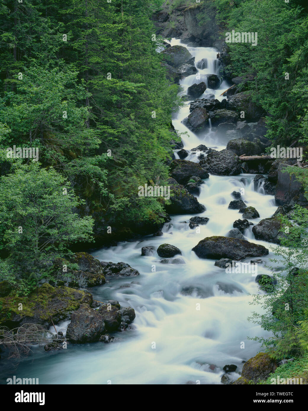 USA, Washington, Olympic National Park, Spring runoff fills the ...