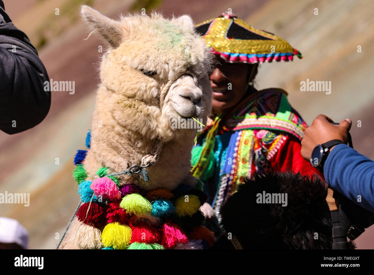 Alamy cusco peru hi-res stock photography and images - Alamy