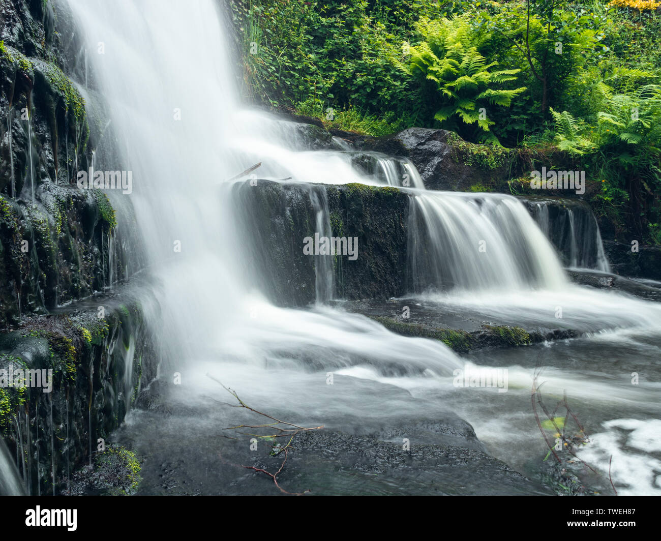 Lumsdale Falls are set along the Lumsdale Valley, a short walk from ...
