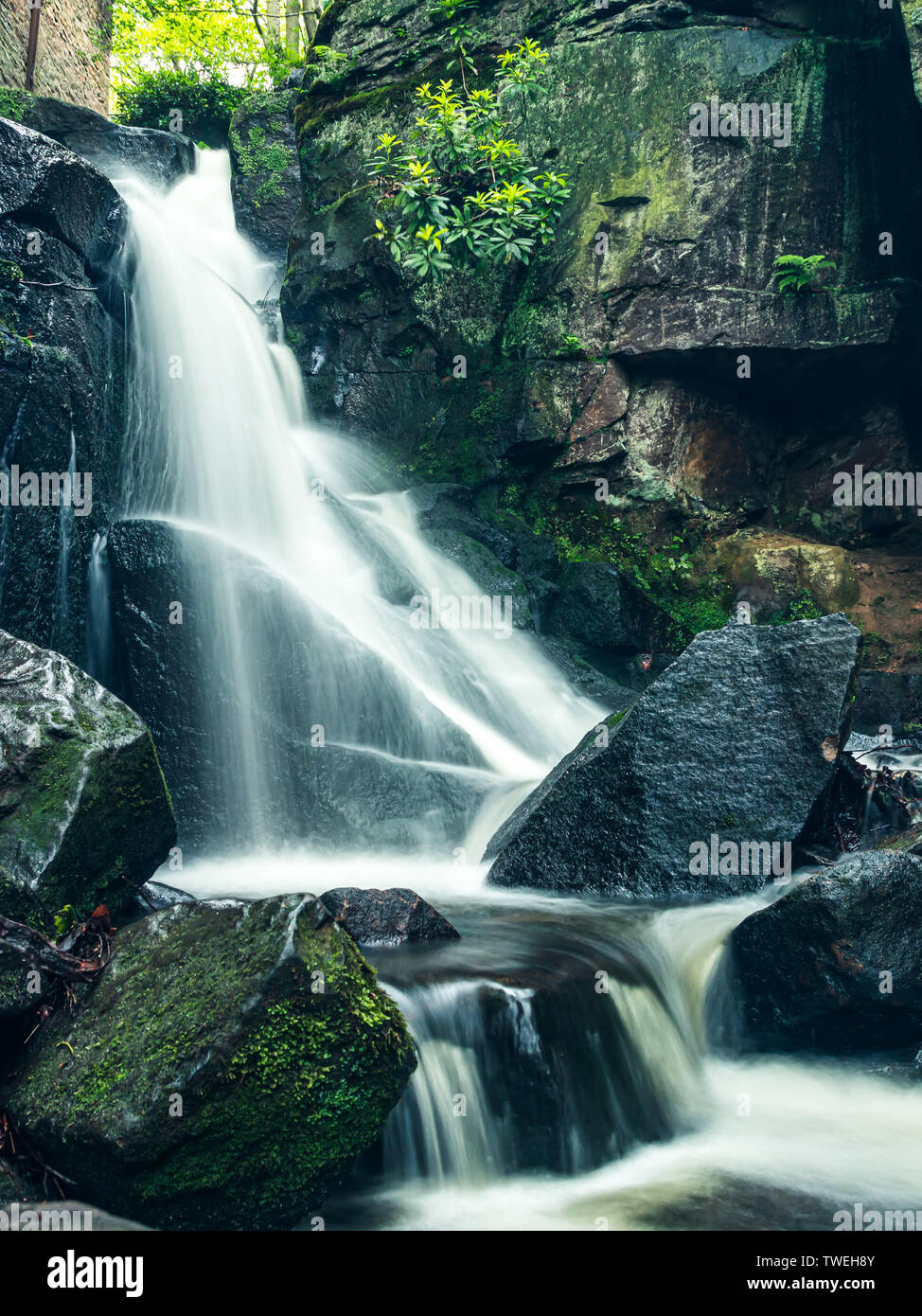 Lumsdale Falls are set along the Lumsdale Valley, a short walk from ...