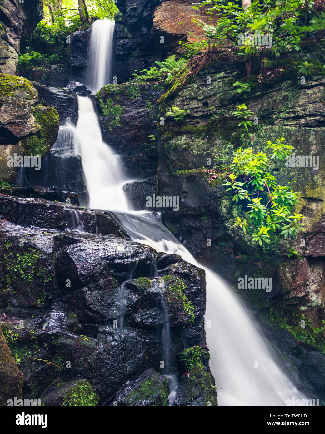 Lumsdale Waterfall In Matlock Uk High Resolution Stock Photography and ...