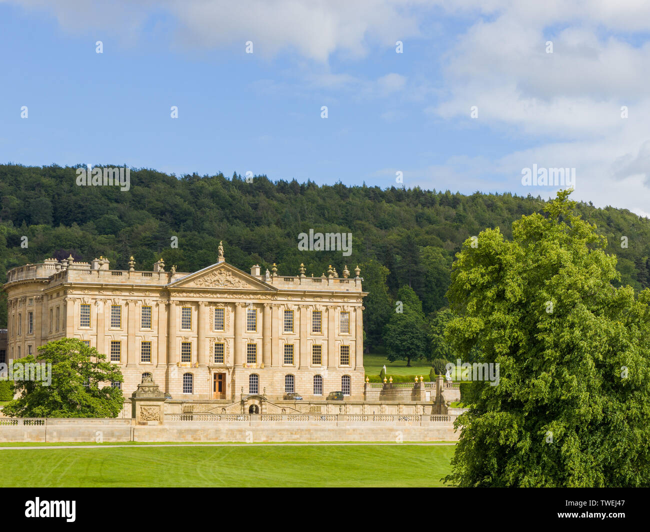 Stately trees hi-res stock photography and images - Alamy