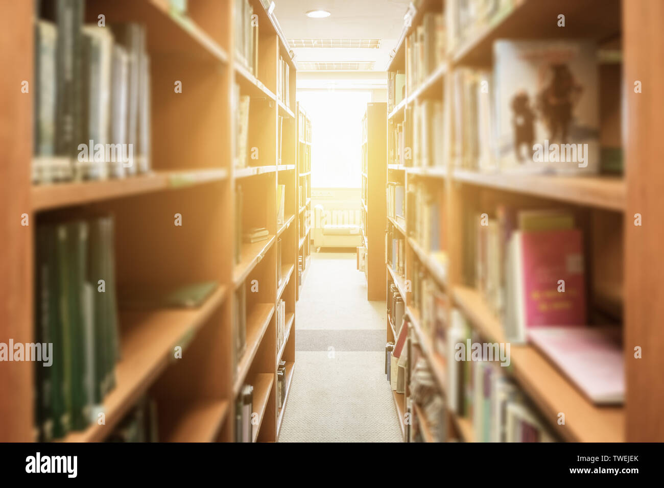 bookshelf wooden straight class in library Stock Photo - Alamy