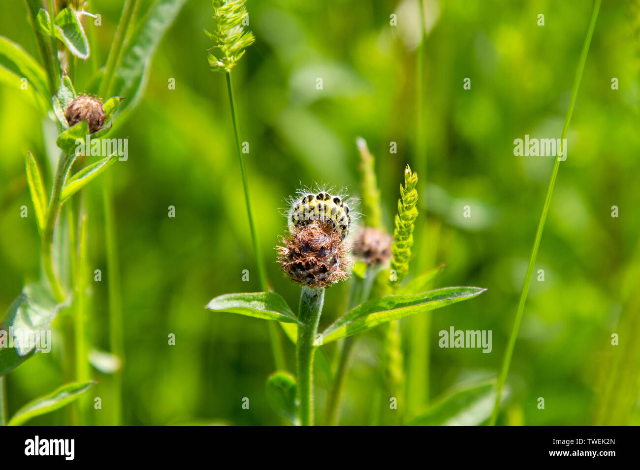 Burnet county hi-res stock photography and images - Alamy
