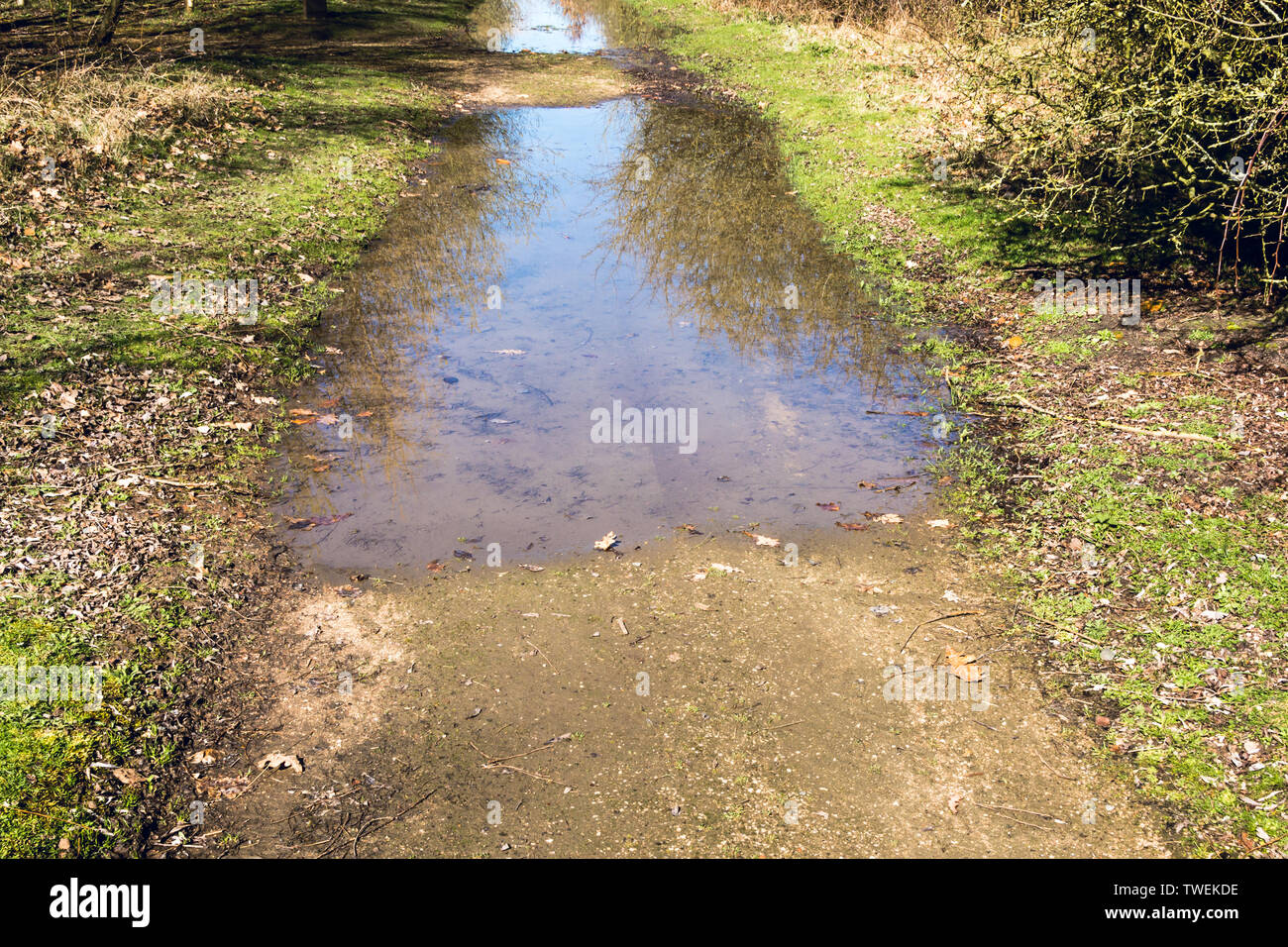 Flood water remains on dirt road in rural area of UK countryside Stock ...