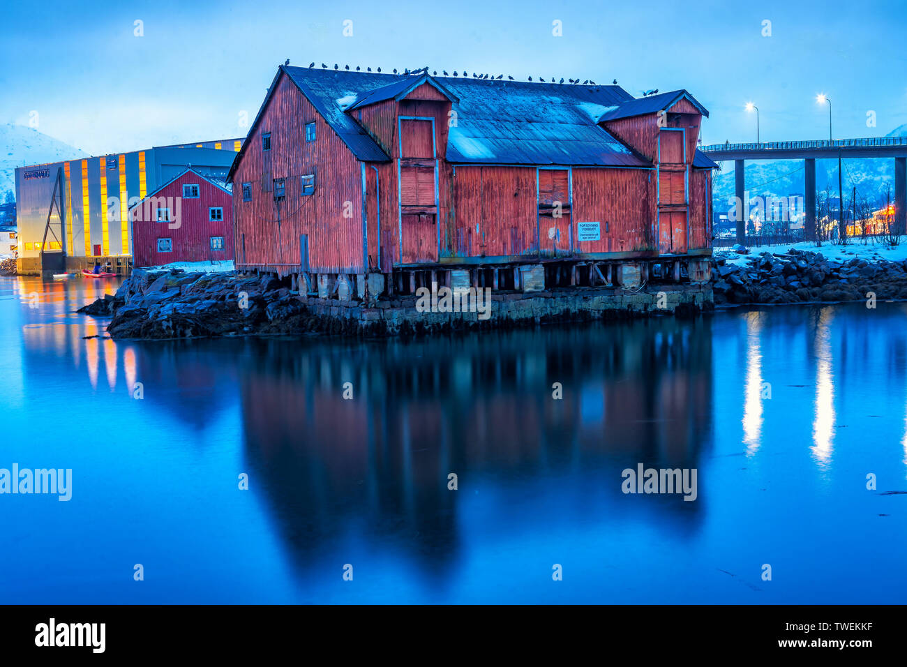 Norway: Winter in Swalwell, Roverton Islands Stock Photo - Alamy