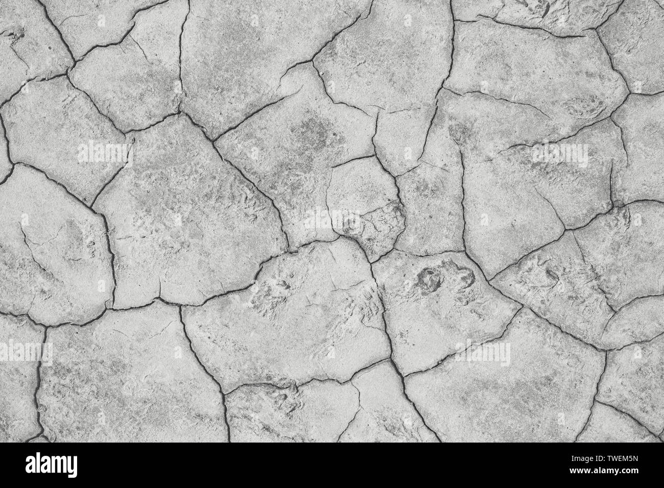 Salt soil damage hi-res stock photography and images - Alamy