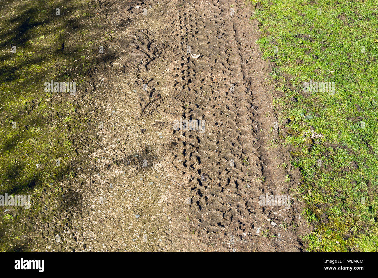 Dirt road in rural area hi-res stock photography and images - Alamy