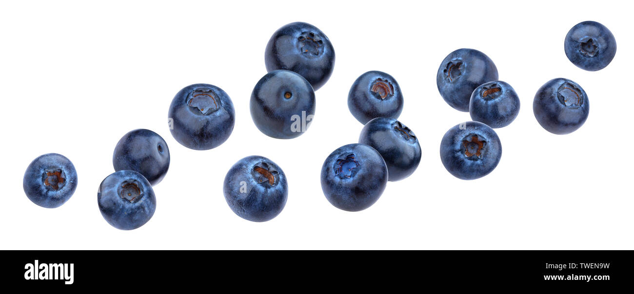 Falling blueberry isolated on white background with clipping path ...